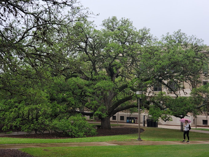 41 Things To Do In College Station, TX – Best of the 50